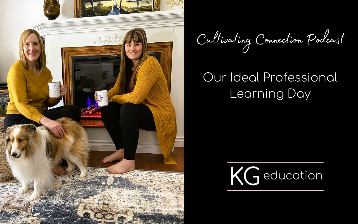 Cultivating Connection Podcast Episode 9: Our Ideal Professional ...